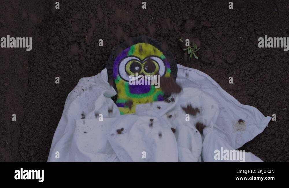 Shallow grave with soft toy wrapped in burial sheet is filling with wet ...