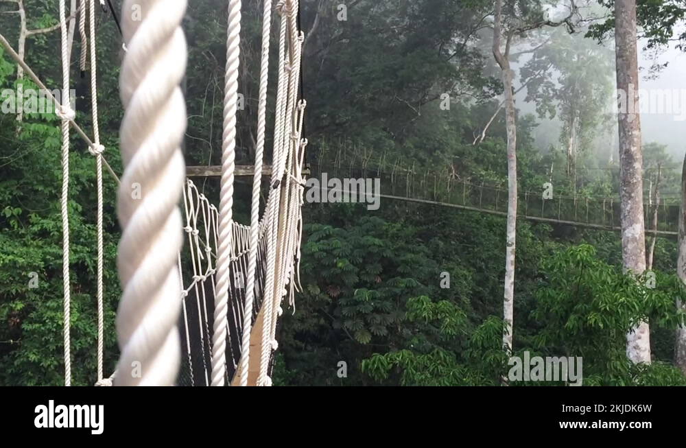 Kakum national park ghana Stock Videos & Footage - HD and 4K Video ...