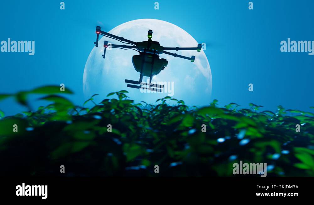 Very health plant Stock Videos & Footage - HD and 4K Video Clips - Alamy