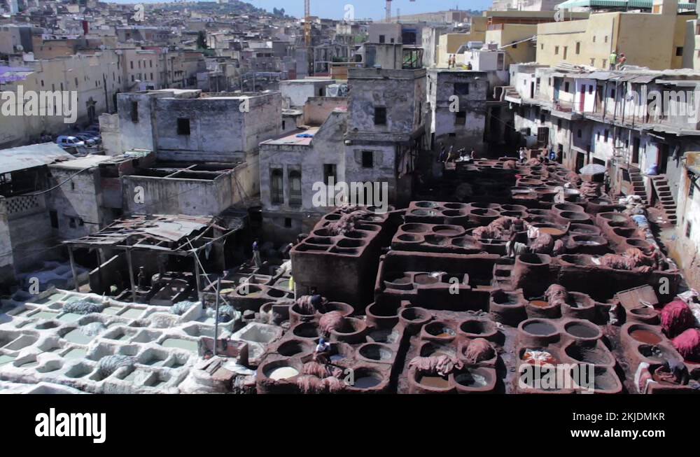 Camel soak Stock Videos & Footage - HD and 4K Video Clips - Alamy