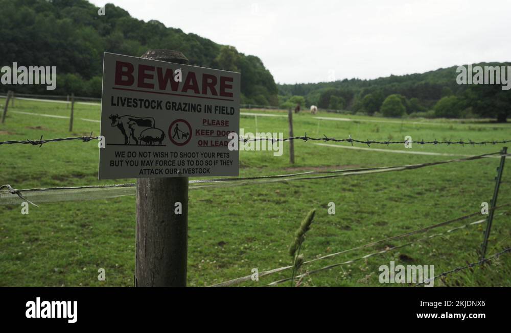 Blood splatter and cartoon Stock Videos & Footage - HD and 4K Video ...