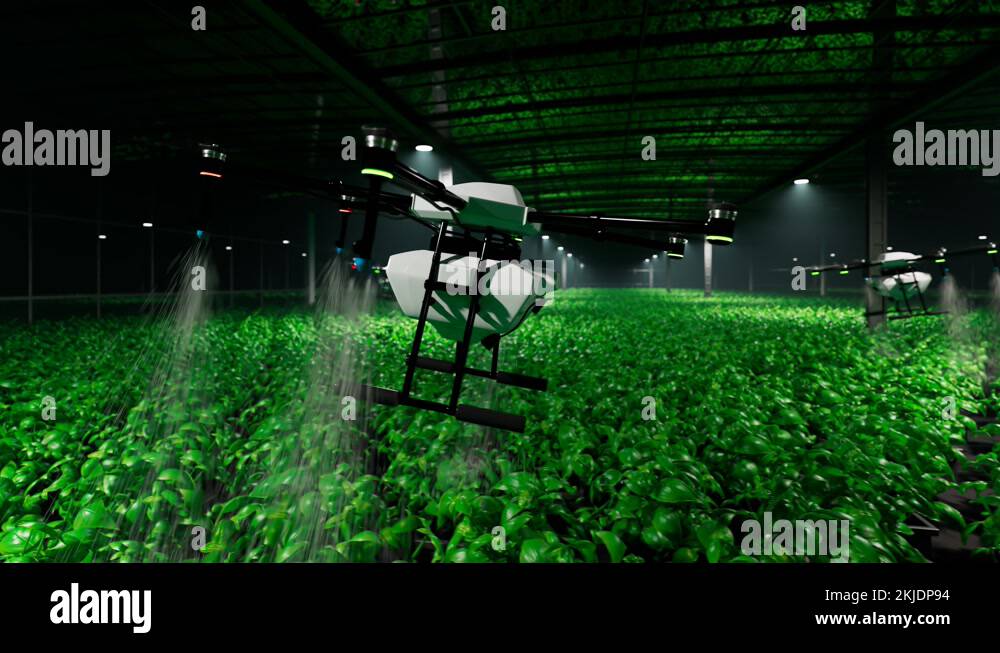 Animation with drones spraying health plant products on a plantation at ...