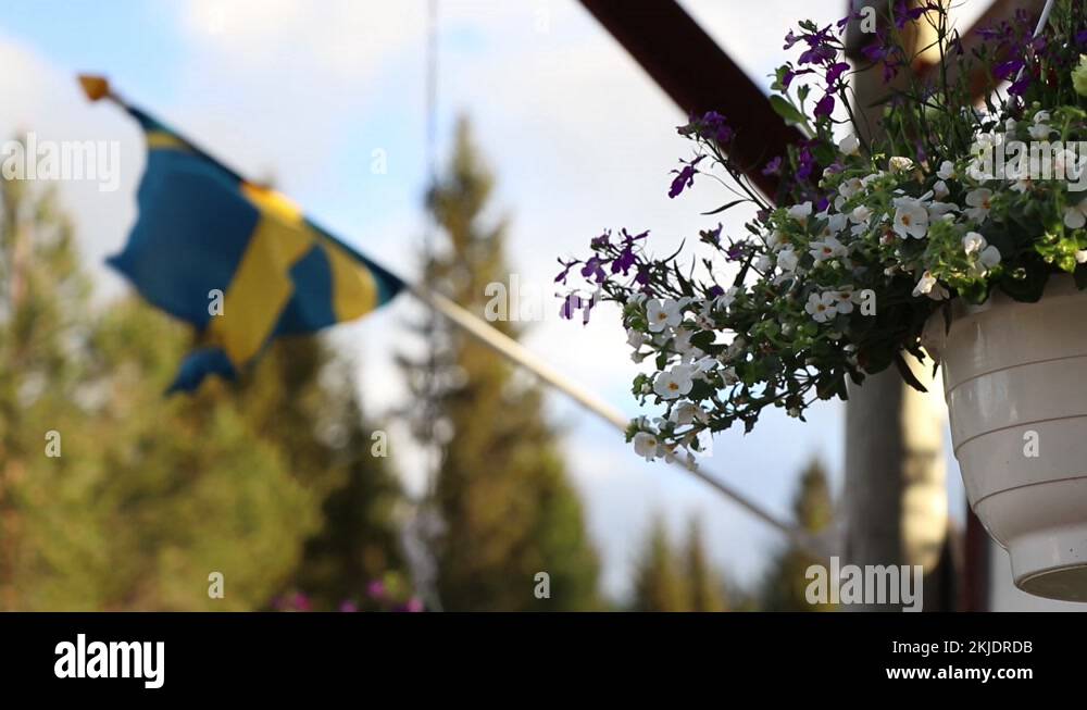 Swedish spring flowers Stock Videos & Footage - HD and 4K Video Clips ...