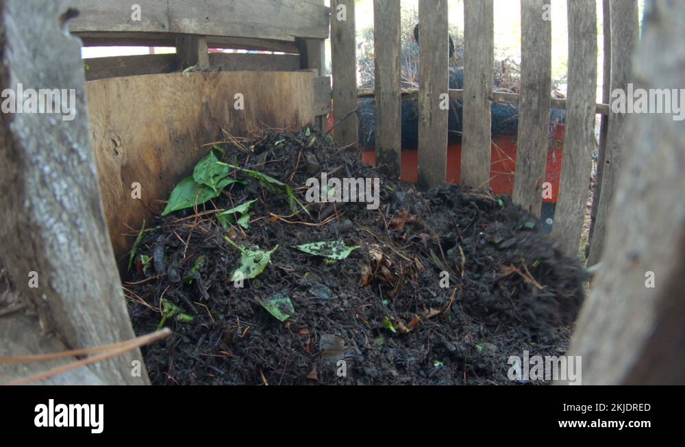 Garden pallet Stock Videos & Footage - HD and 4K Video Clips - Alamy