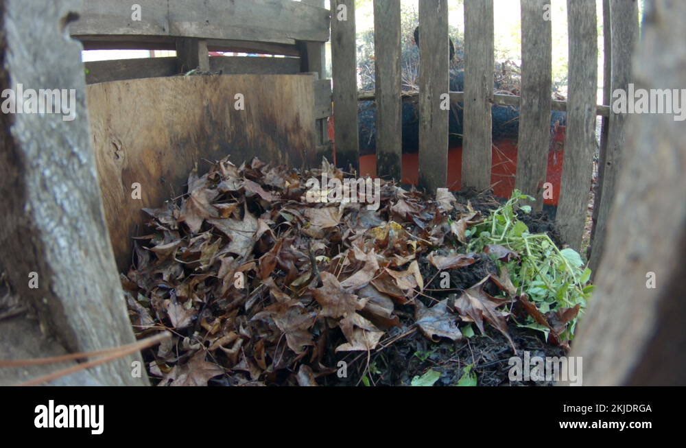 Pile leaves compost Stock Videos & Footage - HD and 4K Video Clips - Alamy