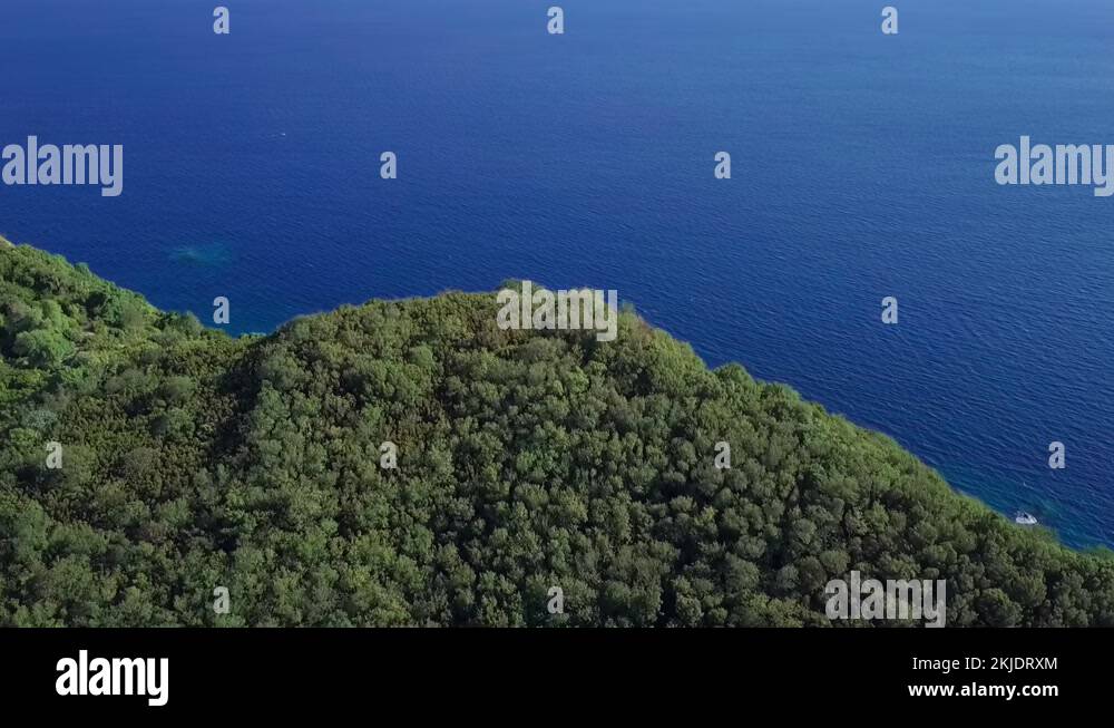 Blue ocean reveal from behind mountain with trees with a bird flying ...
