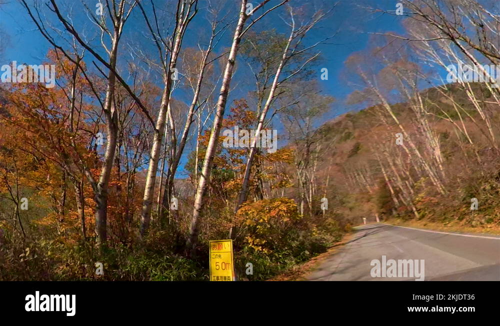 Side of road plants Stock Videos & Footage - HD and 4K Video Clips - Alamy