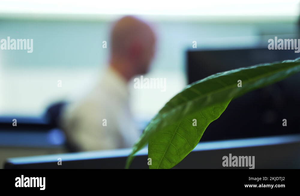 People behind the screens Stock Videos & Footage - HD and 4K Video ...