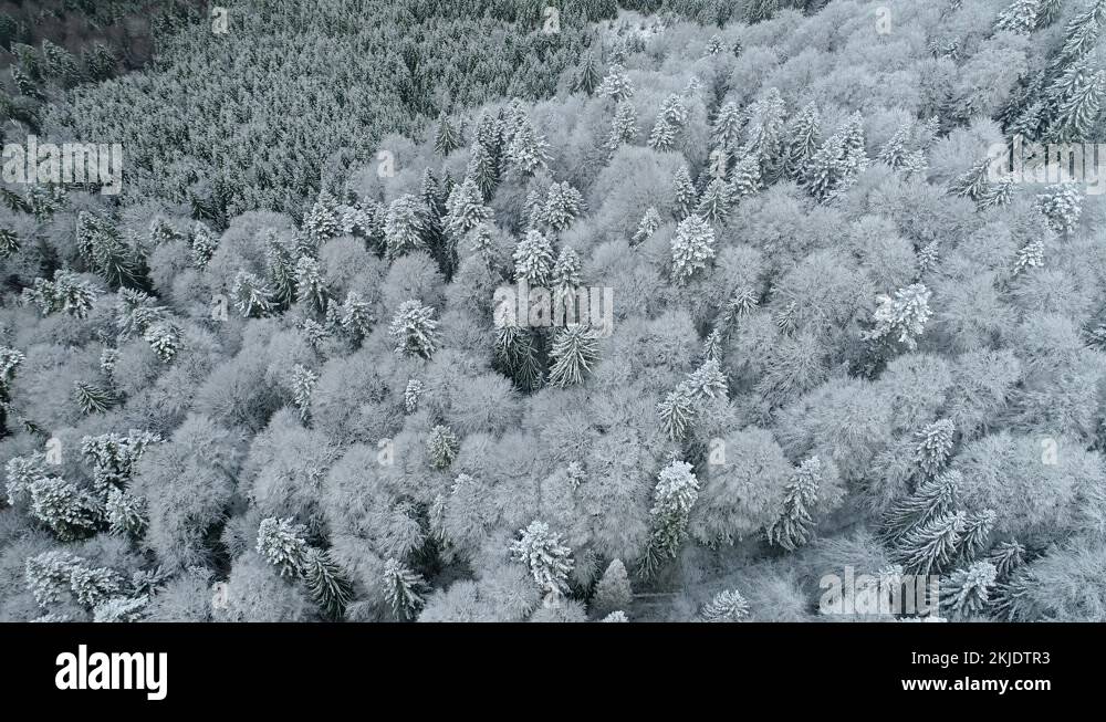Winter in taiga Stock Videos & Footage - HD and 4K Video Clips - Alamy