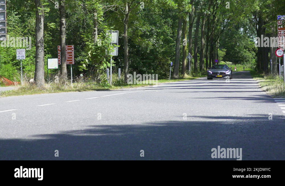 Slow motion of a luxury sports car driving past between beautiful green ...