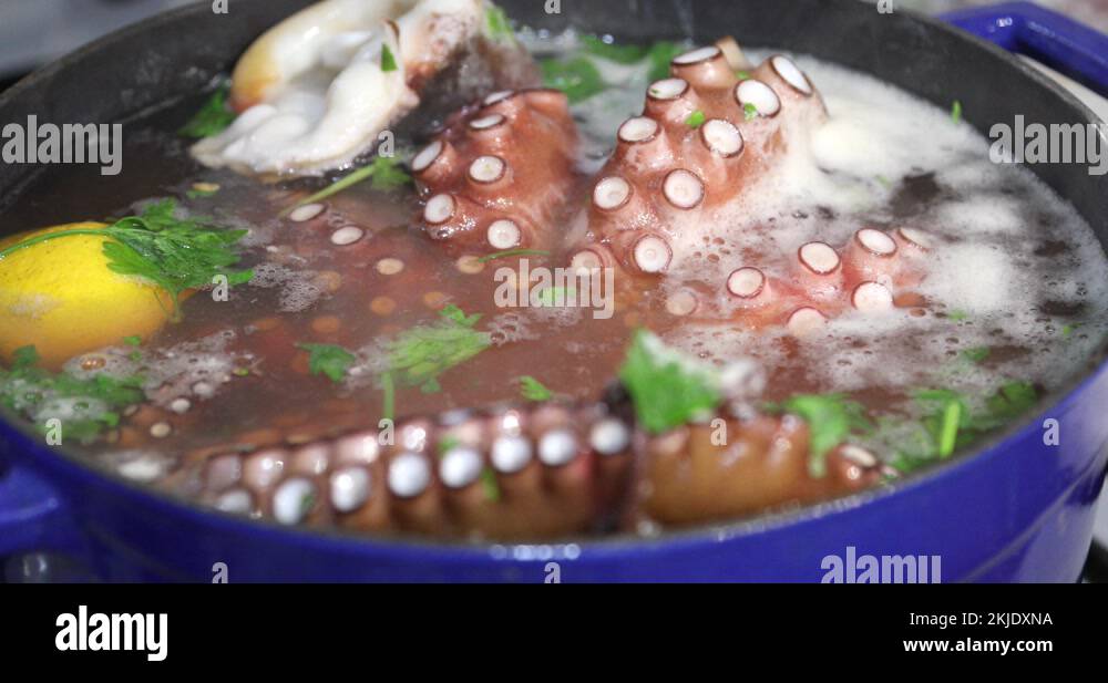 Big octopus boiling in pot Stock Videos & Footage - HD and 4K Video ...