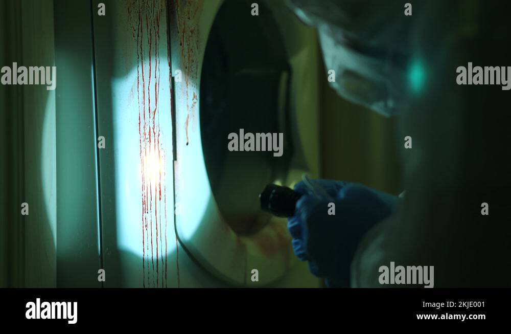 CSI Examine Blood Splatter At Murder Scene In Kitchen, Crime Scene ...