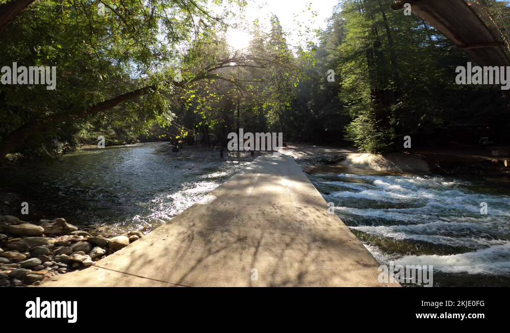 Giant sequoia forest , car crossing mountain river bridge sun flare ...