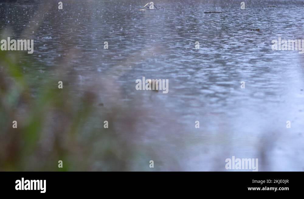 Drops of rain crash against water surface of lake Stock Video Footage ...