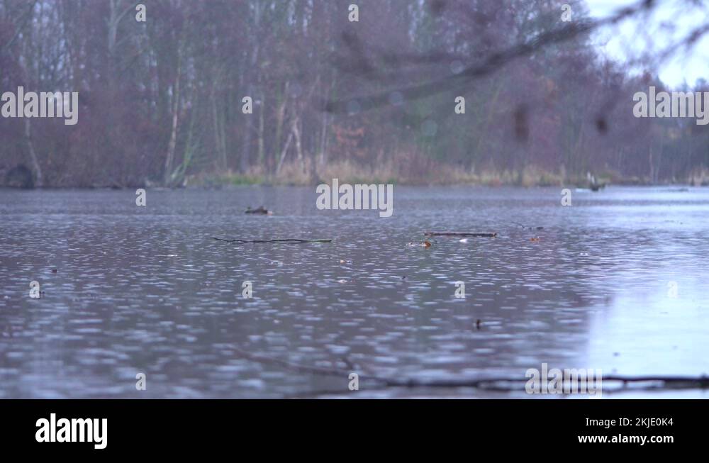 Drops of rain crash against water surface of lake Stock Video Footage ...