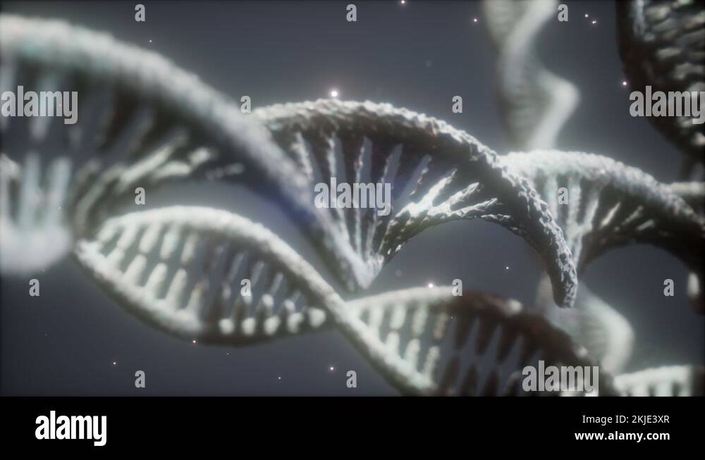 double helical structure of dna strand close-up animation Stock Video ...