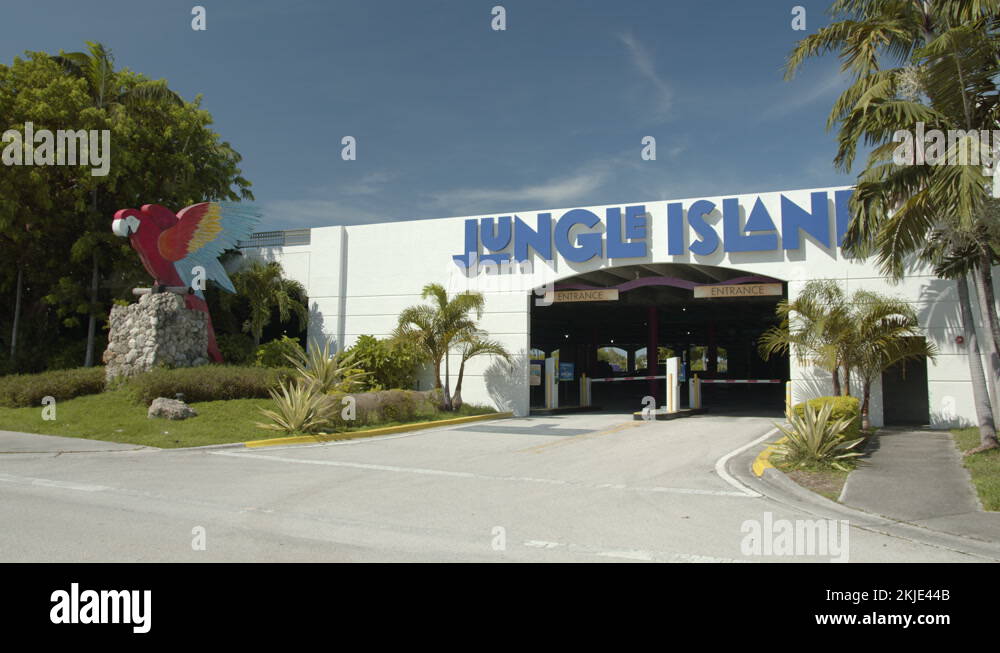 Parrot jungle island miami Stock Videos & Footage - HD and 4K Video ...
