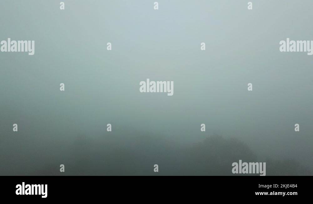 Fog tree tops Stock Videos & Footage - HD and 4K Video Clips - Alamy