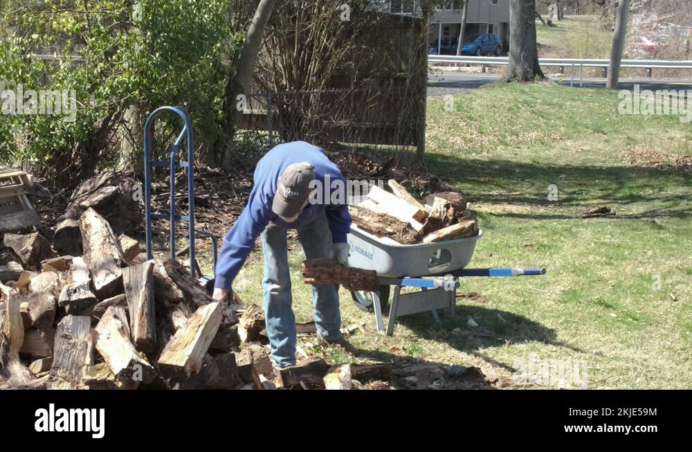 Man loading cut wood Stock Videos & Footage - HD and 4K Video Clips - Alamy