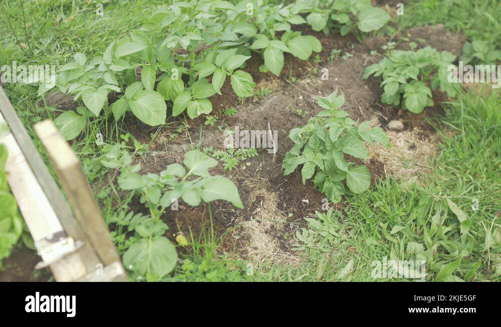 Self ridges Stock Videos & Footage - HD and 4K Video Clips - Alamy