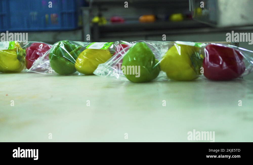 Capsicum paprika Stock Videos & Footage - HD and 4K Video Clips - Alamy