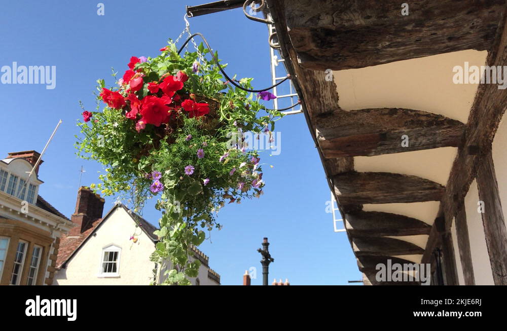 Medieval flower Stock Videos & Footage - HD and 4K Video Clips - Alamy