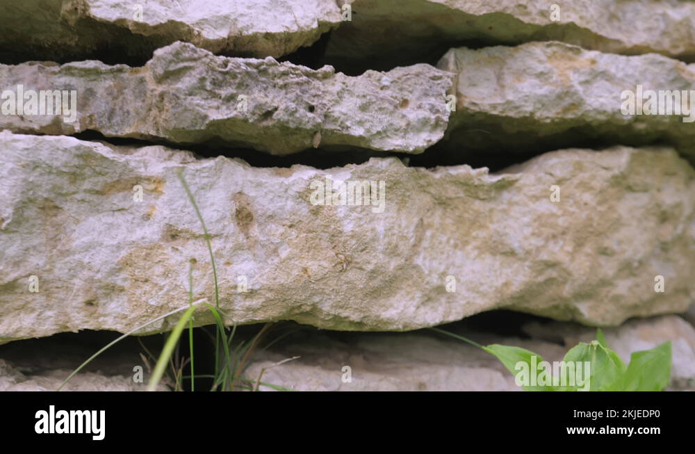 New limestone building wall Stock Videos & Footage - HD and 4K Video ...