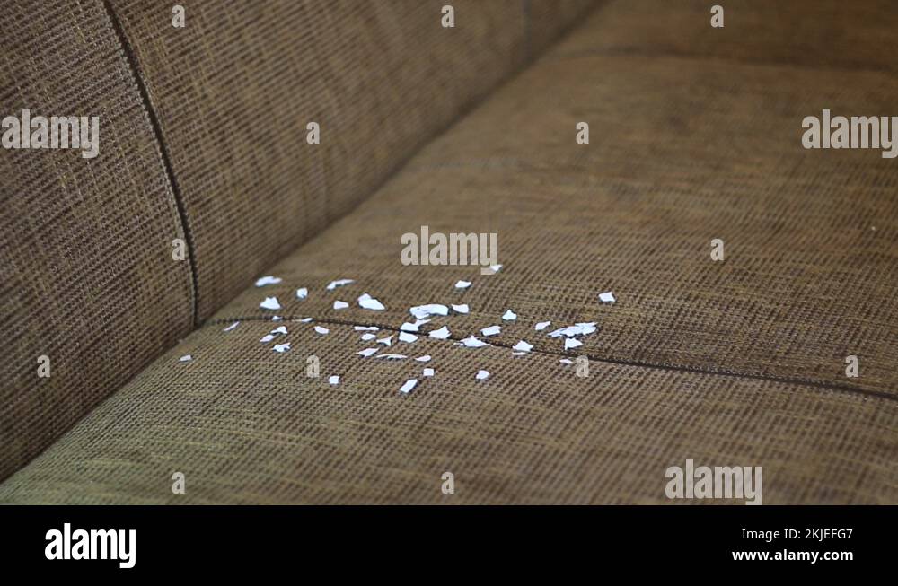 Trash sofa Stock Videos & Footage - HD and 4K Video Clips - Alamy