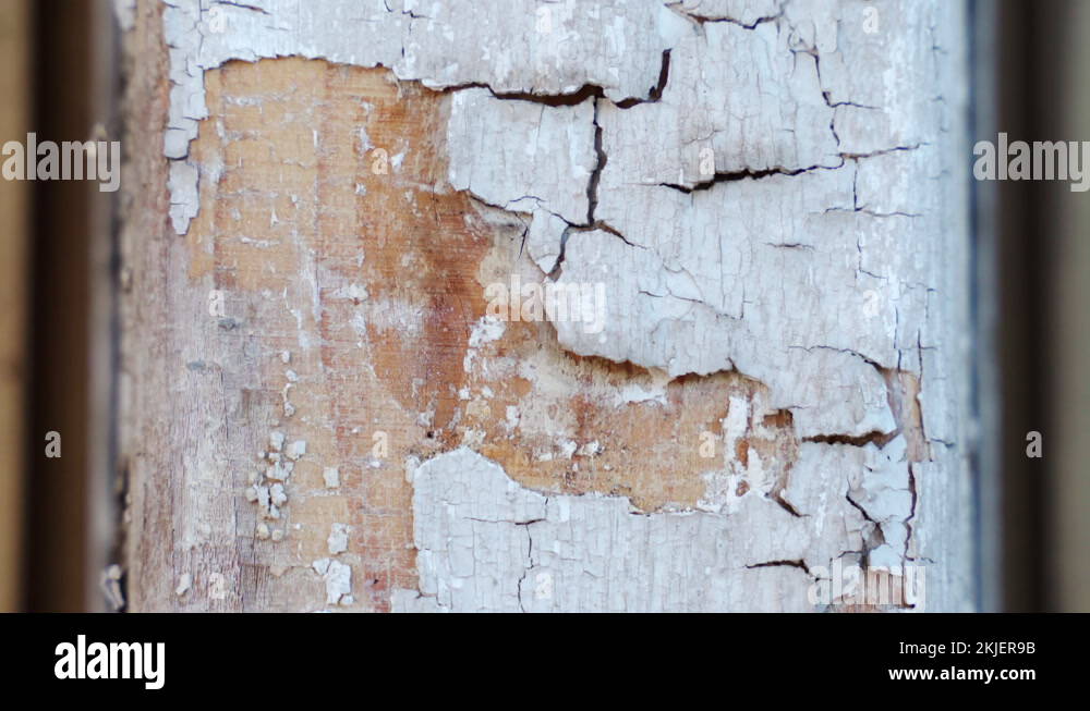 Destruction ruined damaged building exterior Stock Videos & Footage ...