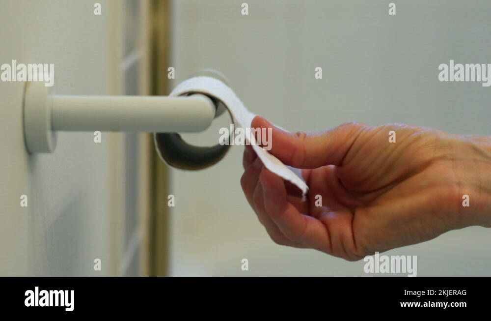 Home toilet Stock Videos & Footage - HD and 4K Video Clips - Alamy