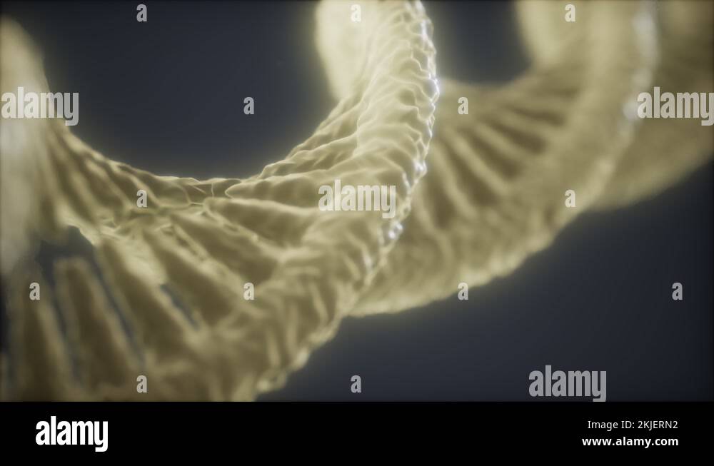 loopable structure of the DNA double helix animation Stock Video ...