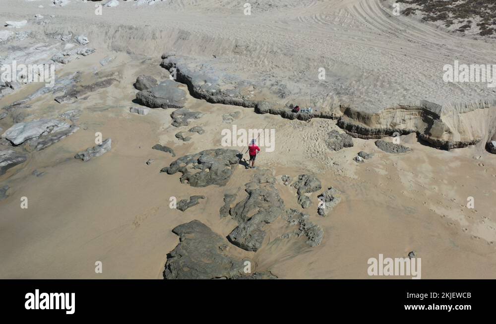 Integration with nature Stock Videos & Footage - HD and 4K Video Clips ...