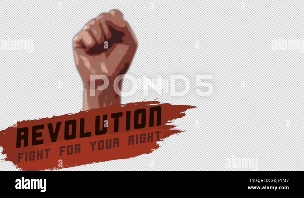 Raised right fist Stock Videos & Footage - HD and 4K Video Clips - Alamy