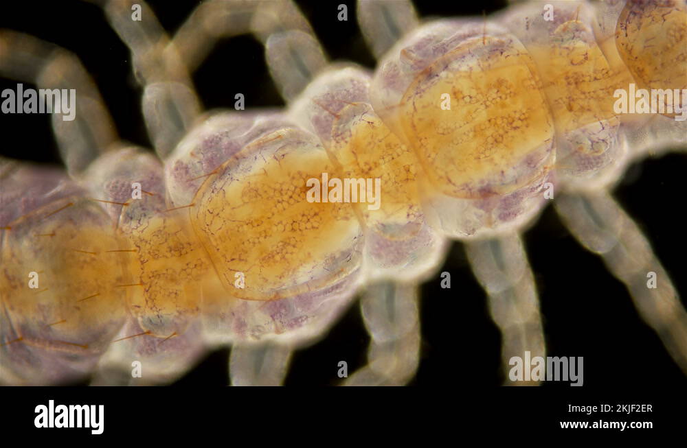 Cities internal Stock Videos & Footage - HD and 4K Video Clips - Alamy