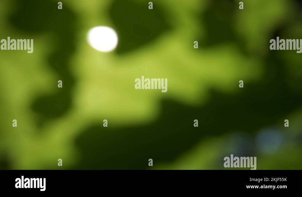 Blurry look Stock Videos & Footage - HD and 4K Video Clips - Alamy