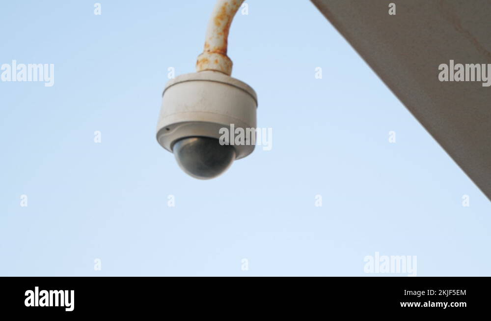 Identify people Stock Videos & Footage - HD and 4K Video Clips - Alamy