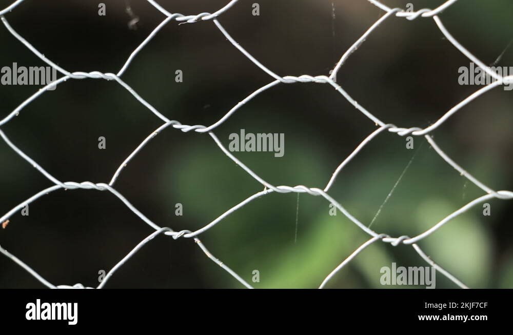 Chicken wire texture Stock Videos & Footage - HD and 4K Video Clips - Alamy
