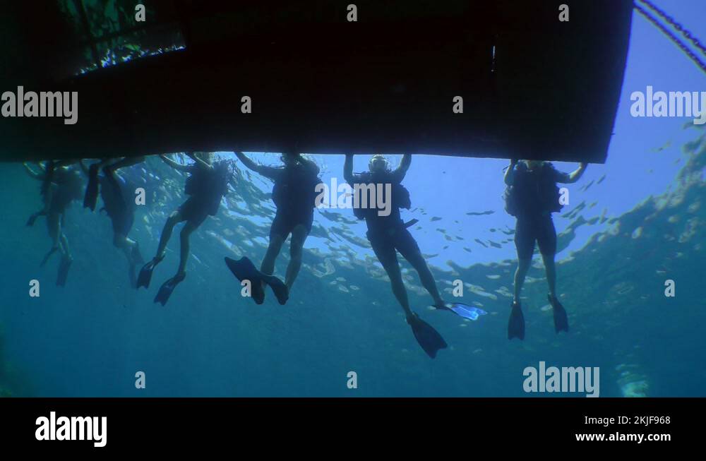 Platform diver training Stock Videos & Footage - HD and 4K Video Clips ...