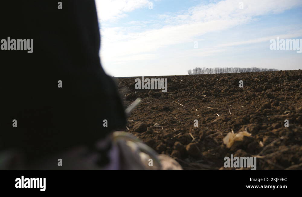 Rear view of little girl in jacket walks on the dry ground along ...