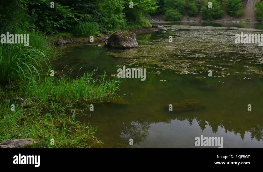 Lake water algae rocks Stock Videos & Footage - HD and 4K Video Clips ...