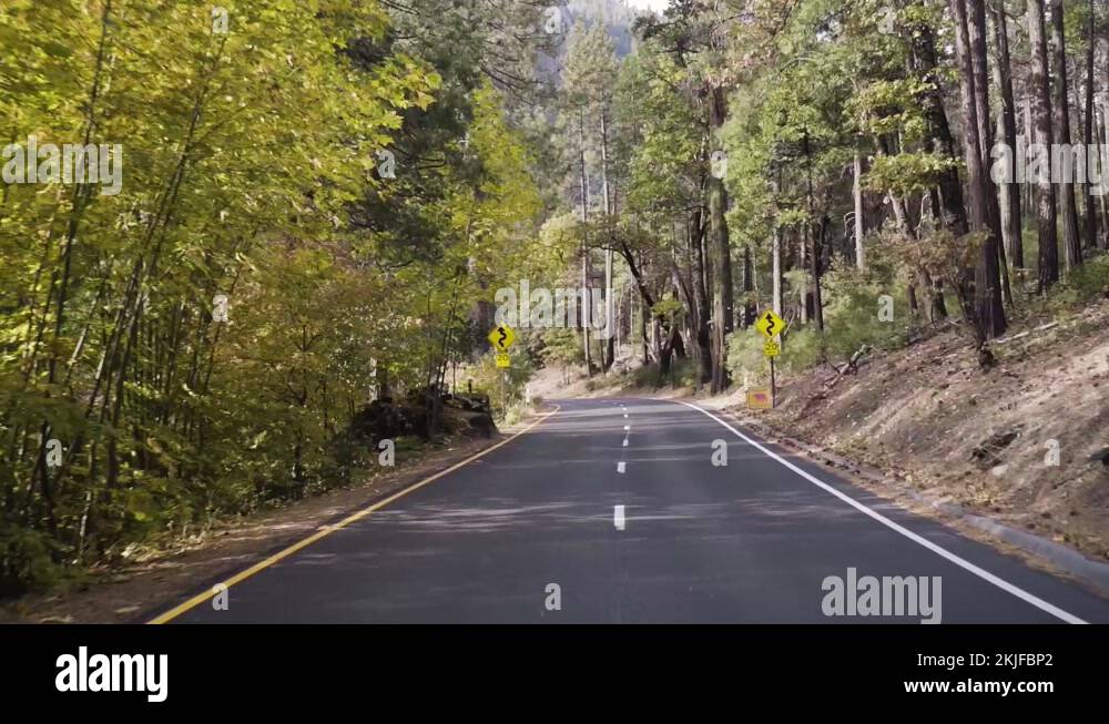 Overhanging foliage Stock Videos & Footage - HD and 4K Video Clips - Alamy