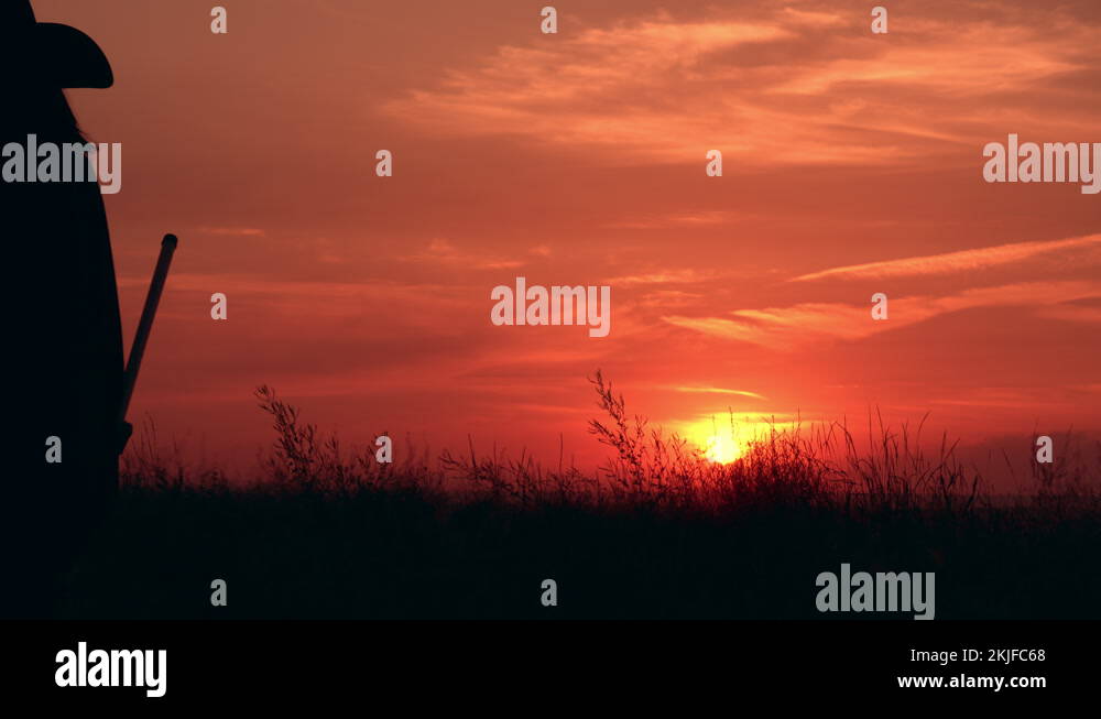 Broom field Stock Videos & Footage - HD and 4K Video Clips - Alamy