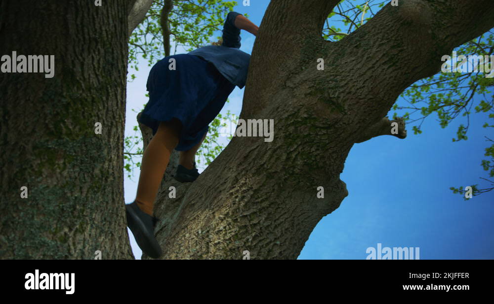 Woman climbing tree Stock Videos & Footage - HD and 4K Video Clips - Alamy