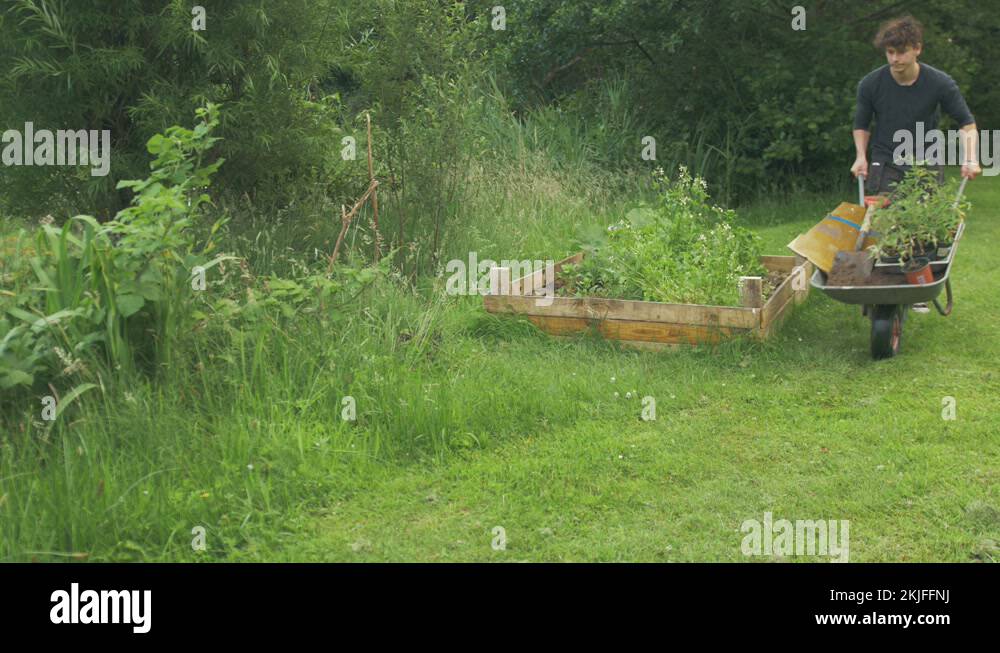 No dig gardening Stock Videos & Footage - HD and 4K Video Clips - Alamy