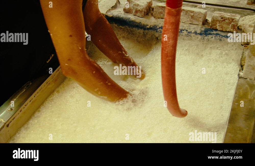 Man Processing Pulp in Traditional Chinese Paper Mill. Close Up Hands ...