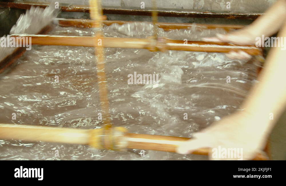 Wet wood pulp Stock Videos & Footage - HD and 4K Video Clips - Alamy