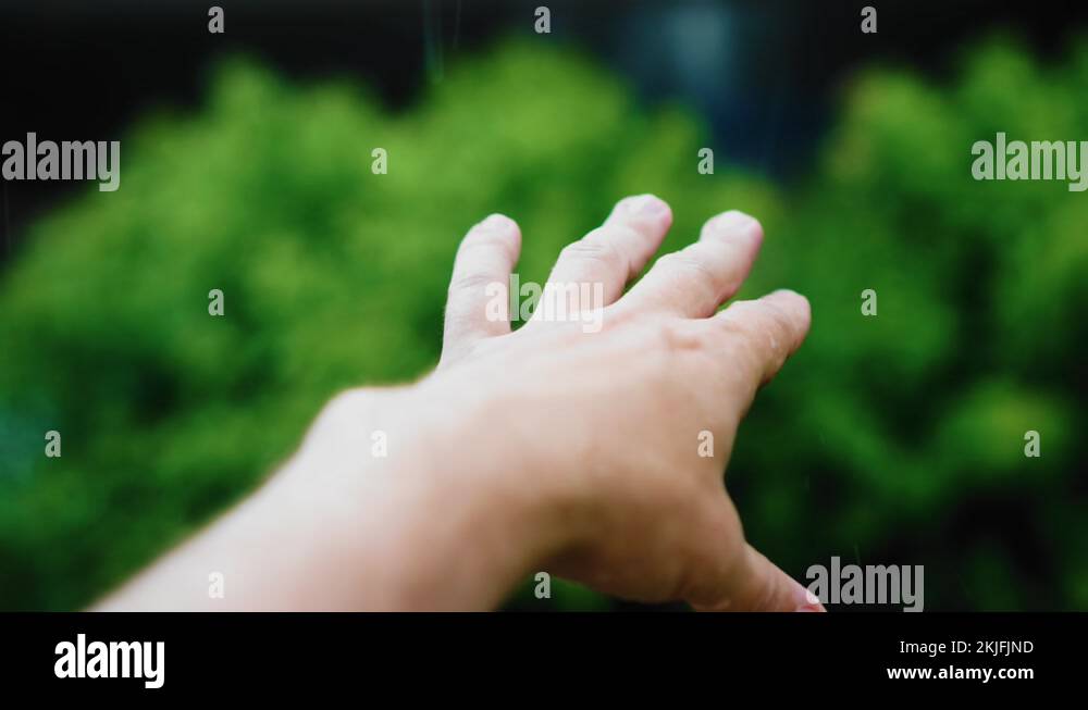 Put out his hand Stock Videos & Footage - HD and 4K Video Clips - Alamy