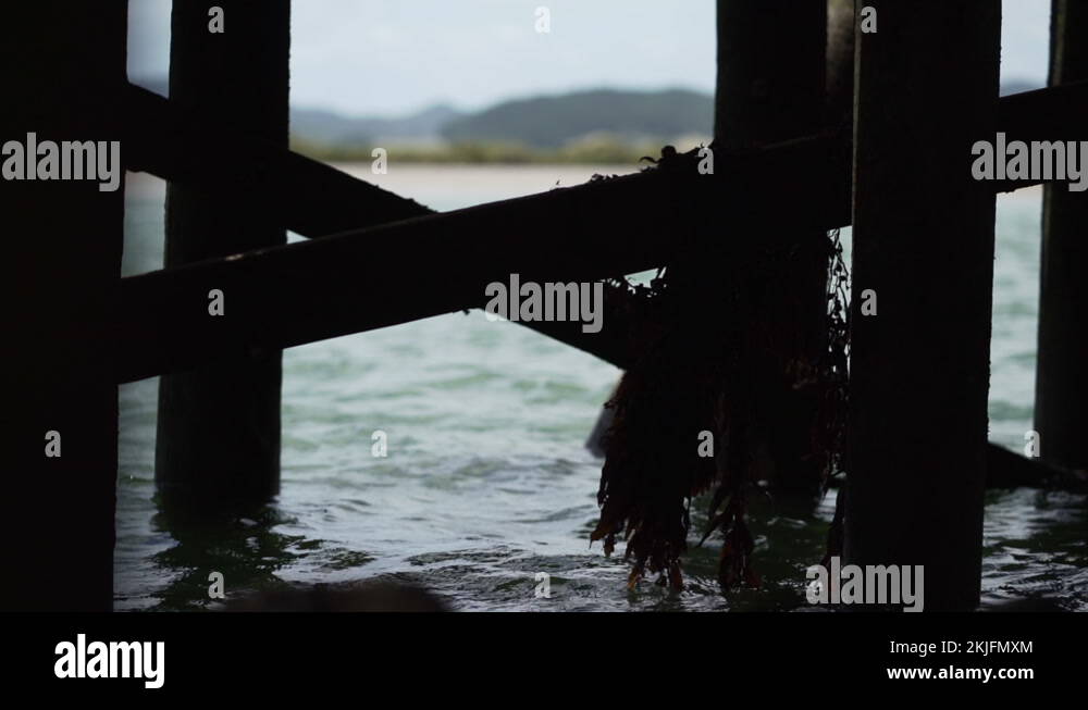 Tangled structure Stock Videos & Footage - HD and 4K Video Clips - Alamy