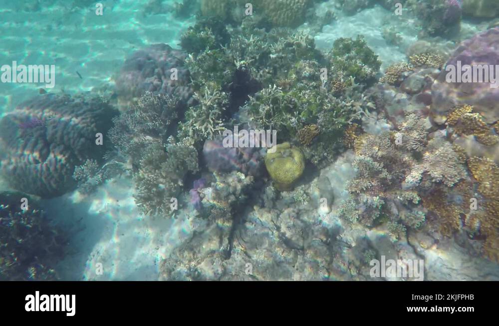 Philippines solomon islands Stock Videos & Footage - HD and 4K Video ...