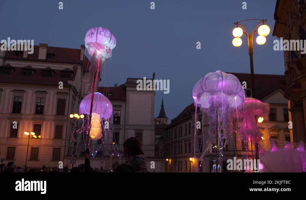 Ocean light show Stock Videos & Footage - HD and 4K Video Clips - Alamy